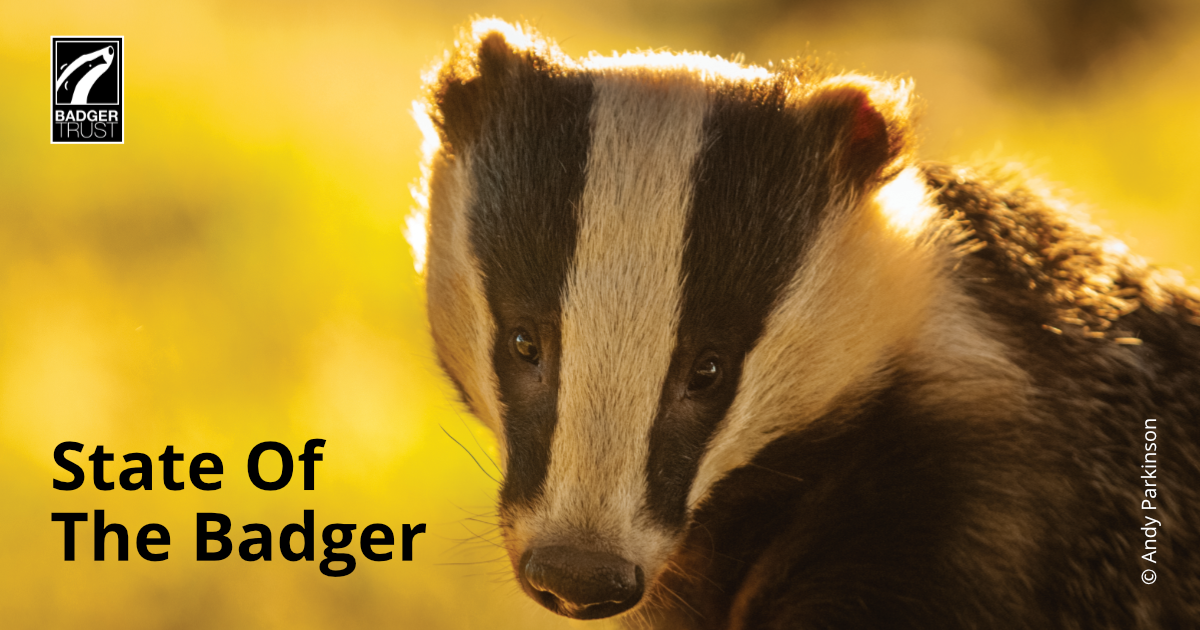 State of the Badger Study - Gloucestershire Badger Group